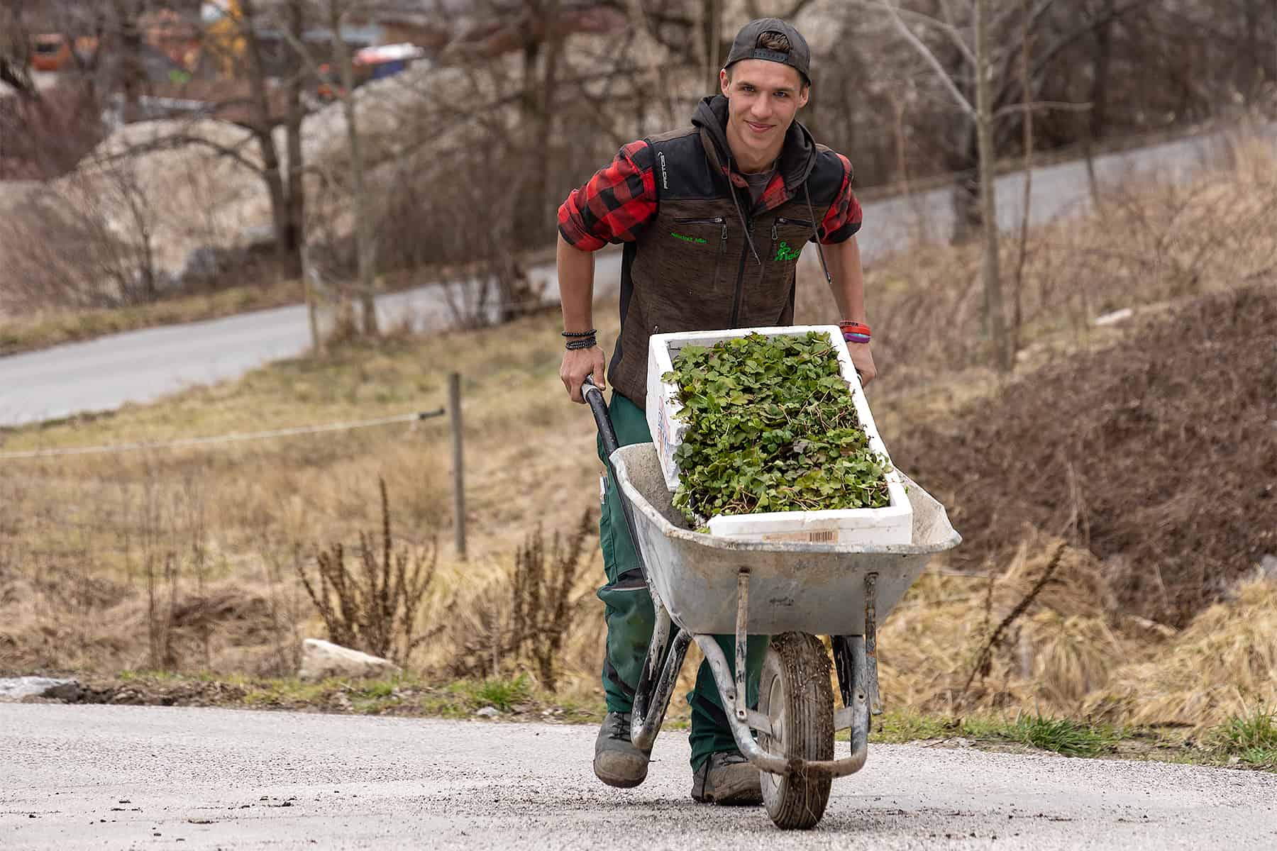 Karriere: Die Ausbildung im Garten- und Landschaftsbau